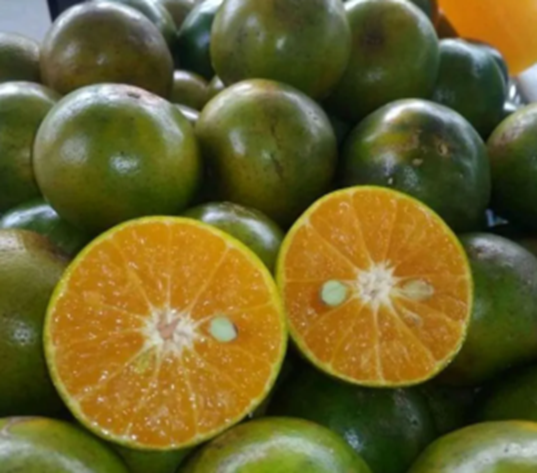 Jeruk, Buah Segar yang Kaya Manfaat - Satu Indonesia