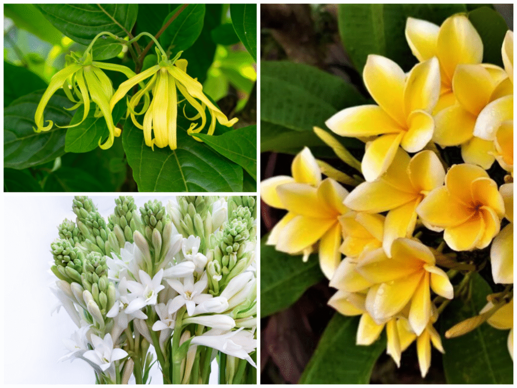 Kenalan Yuk Sama Bunga-Bunga Khas Indonesia! - Satu Indonesia